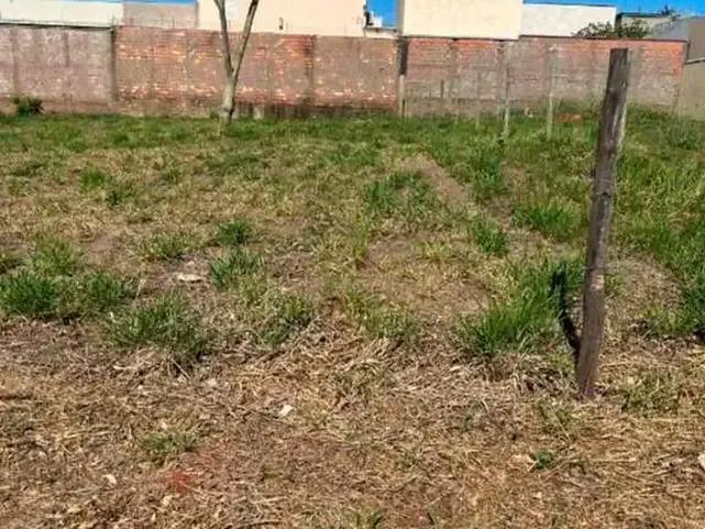 Terreno / Lote para Venda em Barretos/SP City Barretos