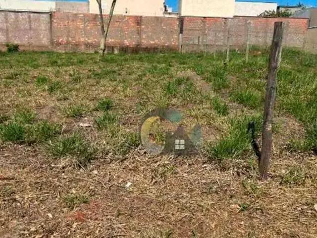 Terreno / Lote para Venda em Barretos/SP City Barretos