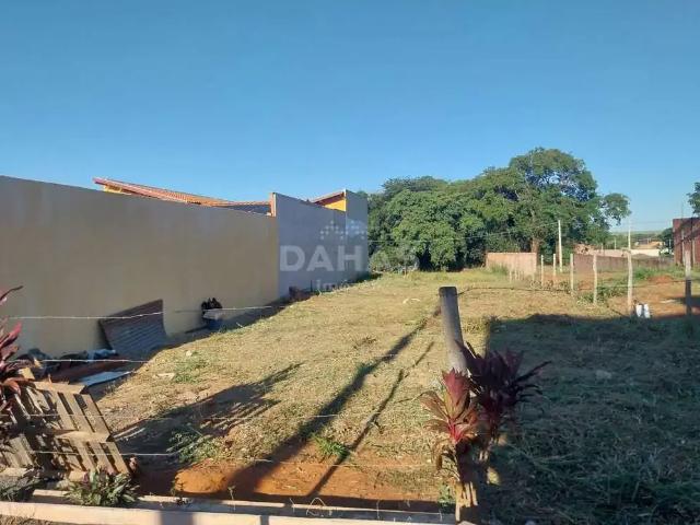 Terreno / Lote para Venda em Barretos/SP Doutor Paulo Prata
