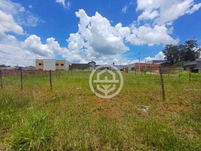 Terreno / Lote para Venda em Barretos/SP Doutor Paulo Prata