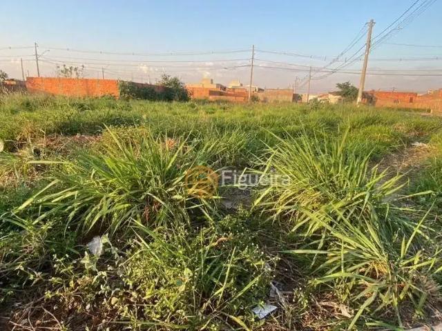 Terreno / Lote para Venda em Barretos/SP Jardim Anastácio