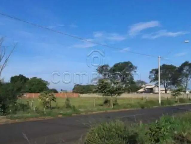 Terreno / Lote para Venda em Barretos/SP Jardim Anastácio