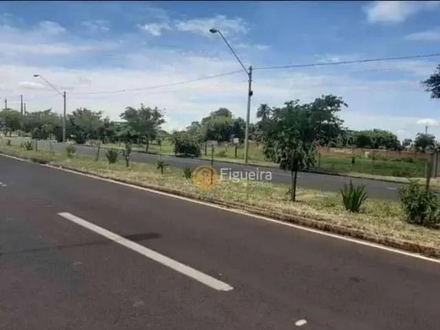 Terreno / Lote para Venda em Barretos/SP Jardim Anastácio