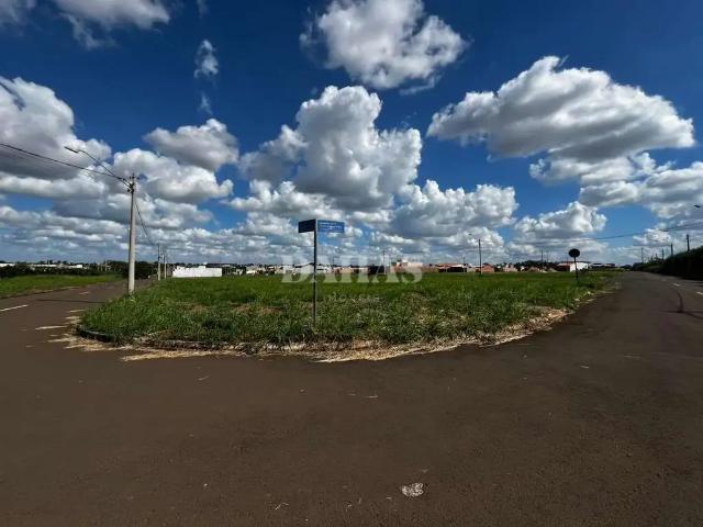 Terreno / Lote para Venda em Barretos/SP Jardim Europa