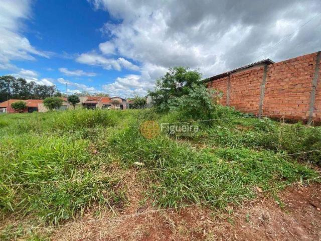 Terreno / Lote para Venda em Barretos/SP Jardim Luis Spina