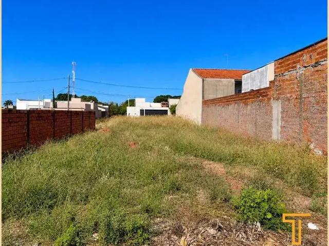 Terreno / Lote para Venda em Barretos/SP Jardim Planalto