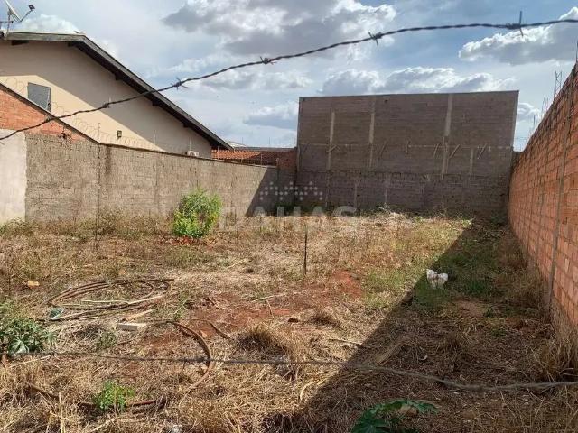 Terreno / Lote para Venda em Barretos/SP Parque Residencial Minerva