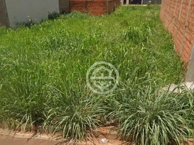 Terreno / Lote para Venda em Barretos/SP Residencial Mais Parque