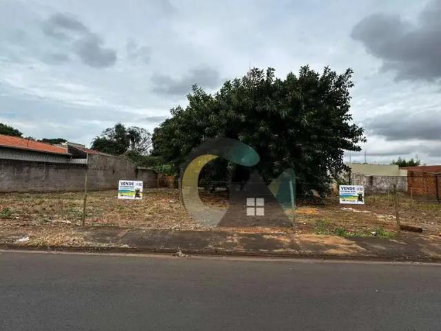 Terreno / Lote para Venda em Barretos/SP São Judas Tadeu