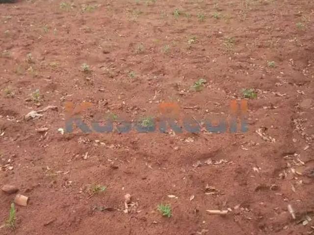 Terreno / Lote para Venda em Bauru/SP Chácara São João