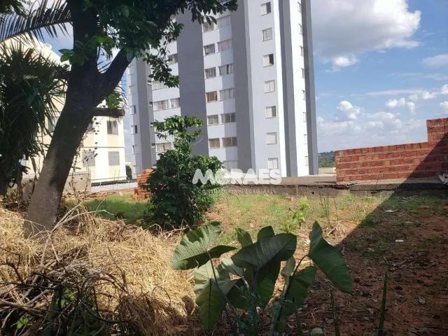 Terreno / Lote para Venda em Bauru/SP Jardim América