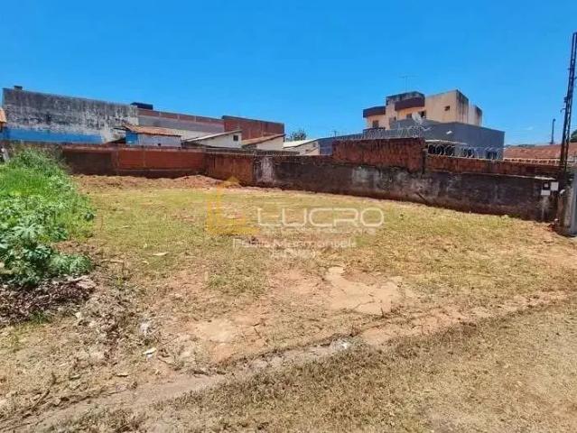 Terreno / Lote para Venda em Bauru/SP Jardim Cruzeiro do Sul