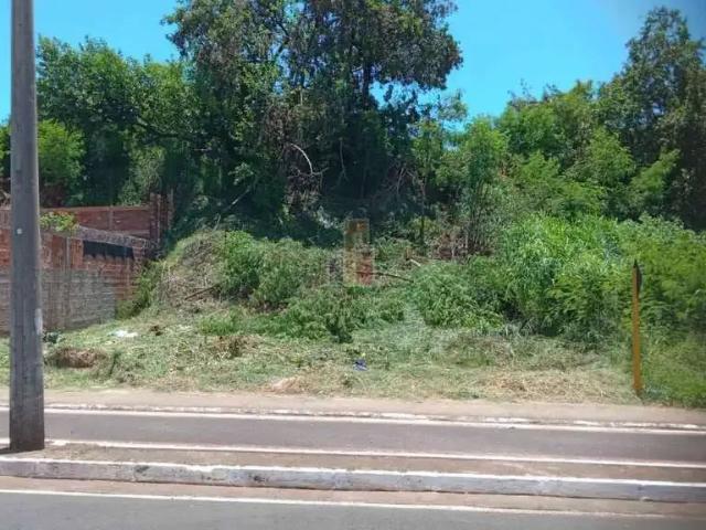 Terreno / Lote para Venda em Bauru/SP Jardim Godoy