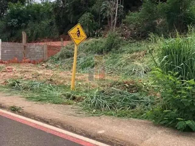 Terreno / Lote para Venda em Bauru/SP Jardim Godoy