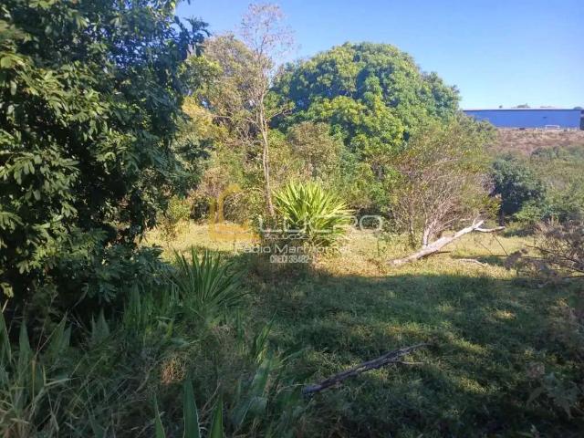 Terreno / Lote para Venda em Bauru/SP Jardim Ivone