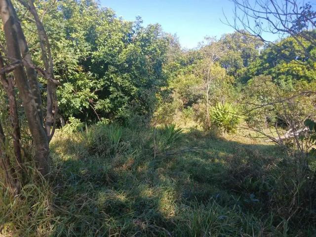 Terreno / Lote para Venda em Bauru/SP Jardim Ivone