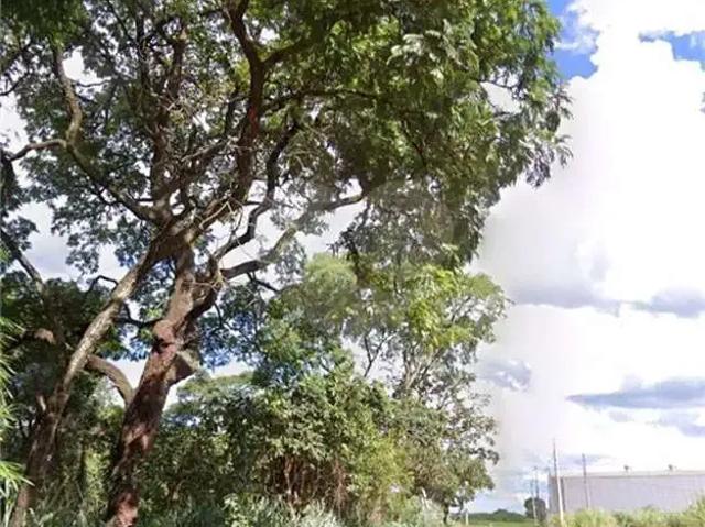 Terreno / Lote para Venda em Bauru/SP Jardim Santos Dumont