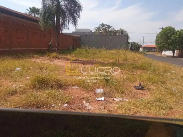 Terreno / Lote para Venda em Bauru/SP Jardim Solange