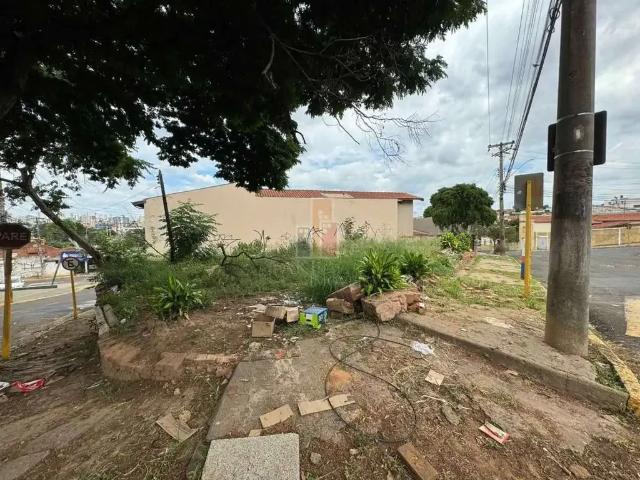 Terreno / Lote para Venda em Bauru/SP Parque Vista Alegre