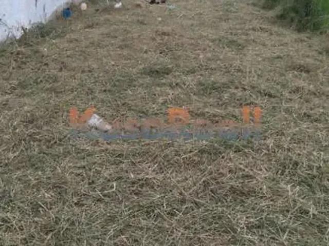 Terreno / Lote para Venda em Bauru/SP Parque Santa Edwiges