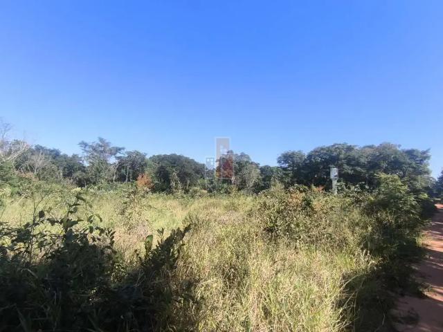 Terreno / Lote para Venda em Bauru/SP Vale do Igapó