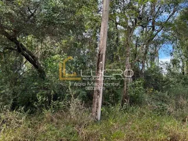 Terreno / Lote para Venda em Bauru/SP Vale do Igapó