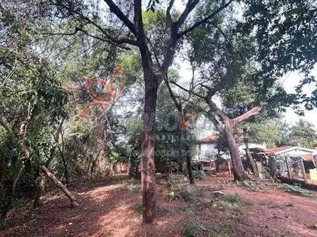 Terreno / Lote para Venda em Bauru/SP Vale do Igapó