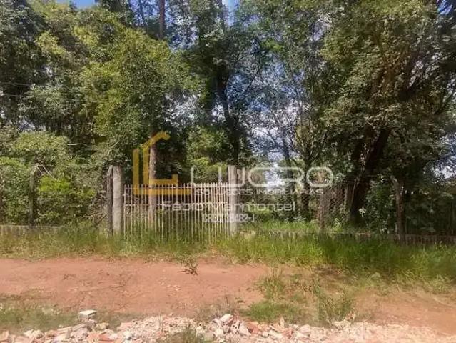 Terreno / Lote para Venda em Bauru/SP Vale do Igapó
