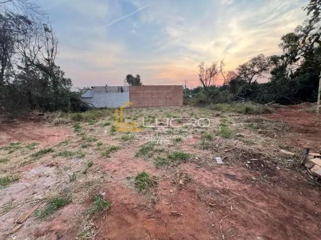 Terreno / Lote para Venda em Bauru/SP Vale do Igapó