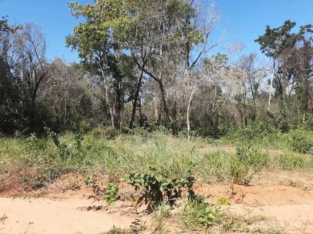 Terreno / Lote para Venda em Bauru/SP Vale do Igapó