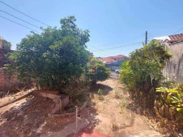 Terreno / Lote para Venda em Bauru/SP Vila Cardia