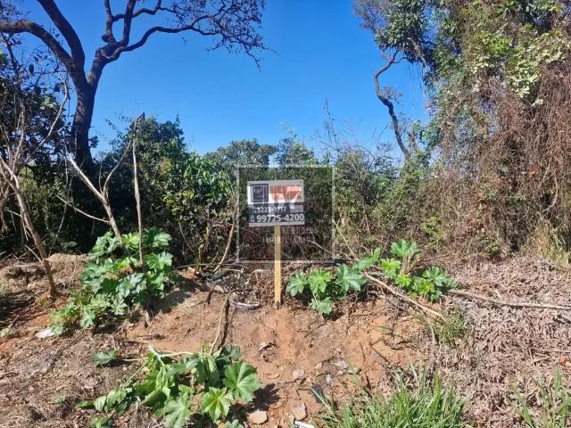 Terreno / Lote para Venda em Bauru/SP Vila Aviação B