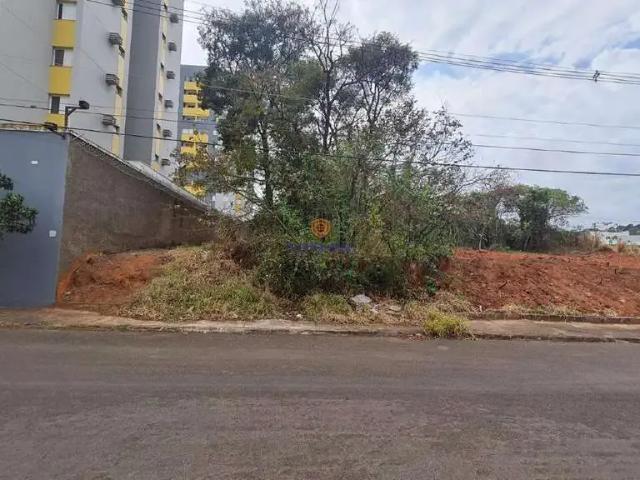 Terreno / Lote para Venda em Bauru/SP Vila Aviação