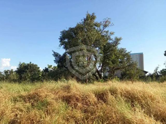 Terreno / Lote para Venda em Bauru/SP Vila Aviação