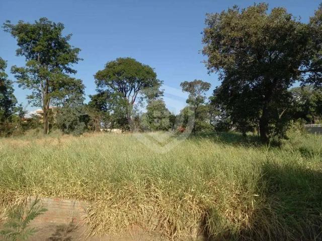 Terreno / Lote para Venda em Bauru/SP Vila Aviação