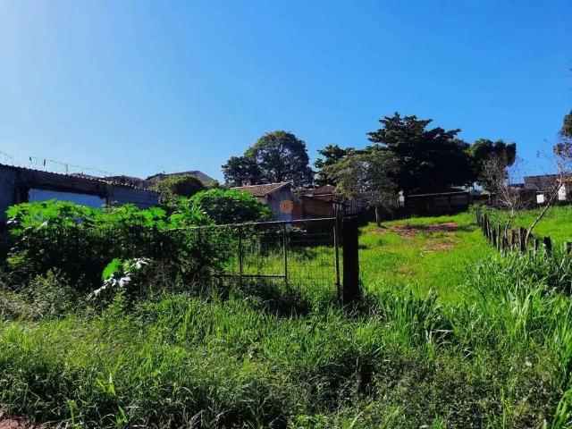 Terreno / Lote para Venda em Bauru/SP Vila Giunta