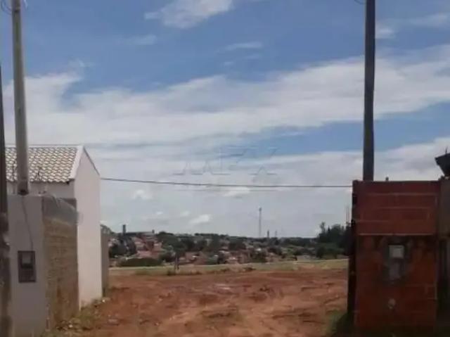 Terreno / Lote para Venda em Bauru/SP Vila Dutra