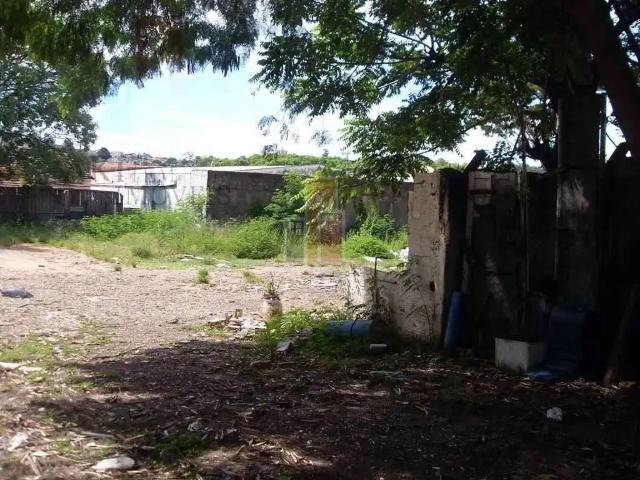 Terreno / Lote para Venda em Bauru/SP Vila Falcão