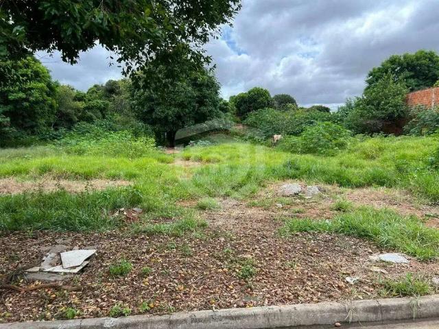 Terreno / Lote para Venda em Bauru/SP Vila Nove de Julho