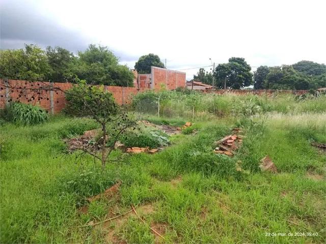 Terreno / Lote para Venda em Bauru/SP Vila São Paulo