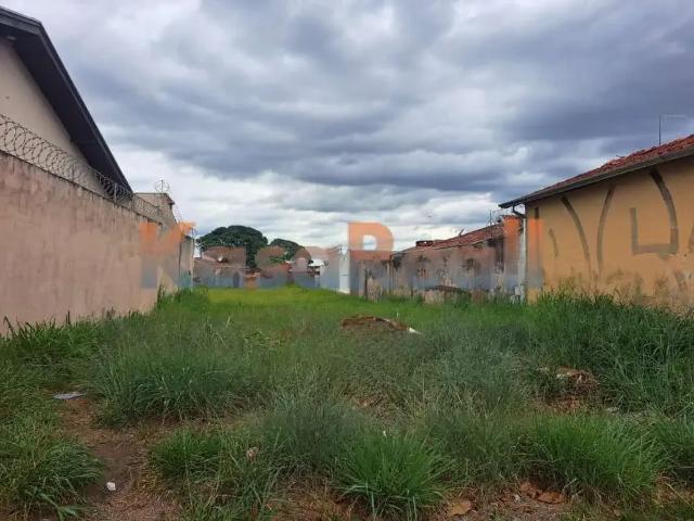 Terreno / Lote para Venda em Bauru/SP Vila Souto