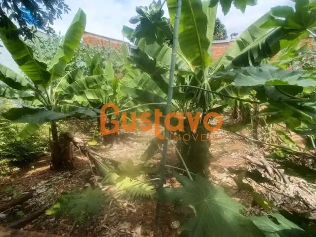 Terreno / Lote para Venda em Bauru/SP Vila Santista