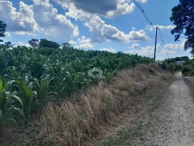 Terreno / Lote para Venda em Bento Gonçalves/RS Tuiuty Distrito
