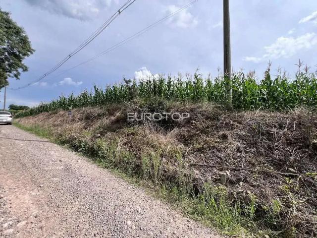 Terreno / Lote para Venda em Bento Gonçalves/RS Tuiuty Distrito