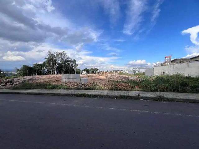 Terreno / Lote para Venda em Bento Gonçalves/RS Universitário