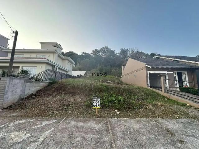 Terreno / Lote para Venda em Bento Gonçalves/RS Universitário