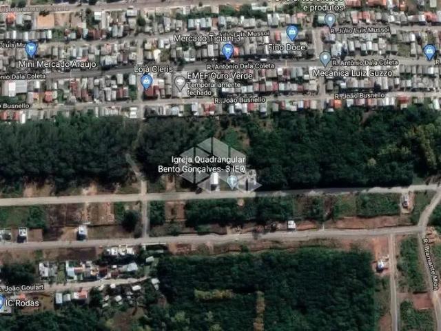 Terreno / Lote para Venda em Bento Gonçalves/RS Universitário