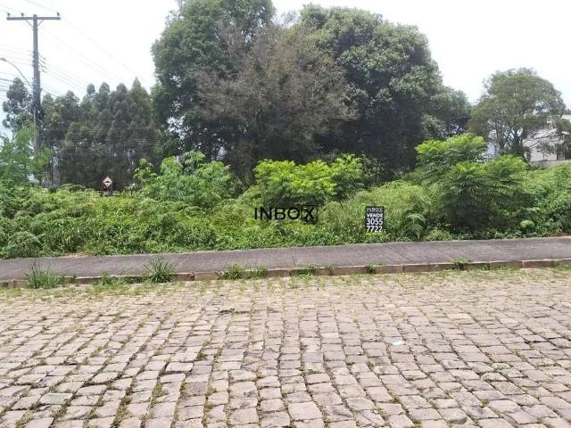 Terreno / Lote para Venda em Bento Gonçalves/RS Universitário