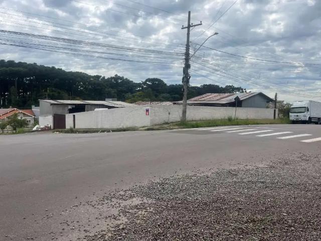 Terreno / Lote para Venda em Bento Gonçalves/RS Universitário