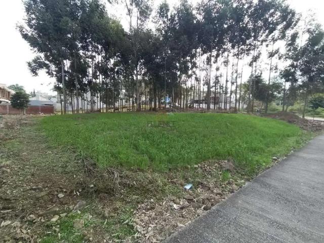 Terreno / Lote para Venda em Bento Gonçalves/RS Universitário